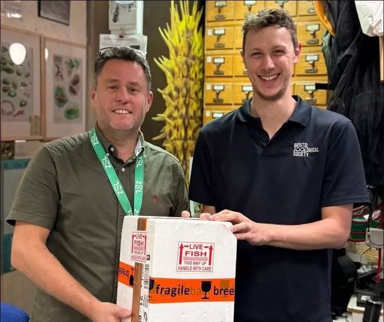 Breeding Success as Bristol Charity Joins Mission to Save Mexican ...