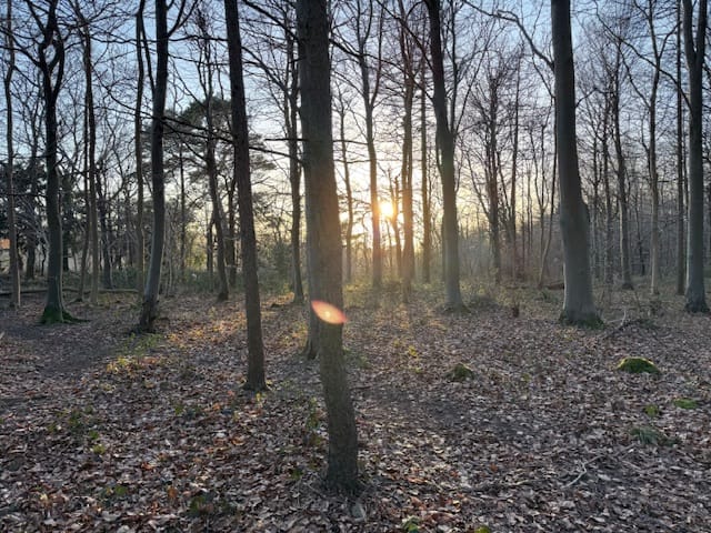 Nature, Music and Witnessing Kindness - Boost Wellbeing with the New ...