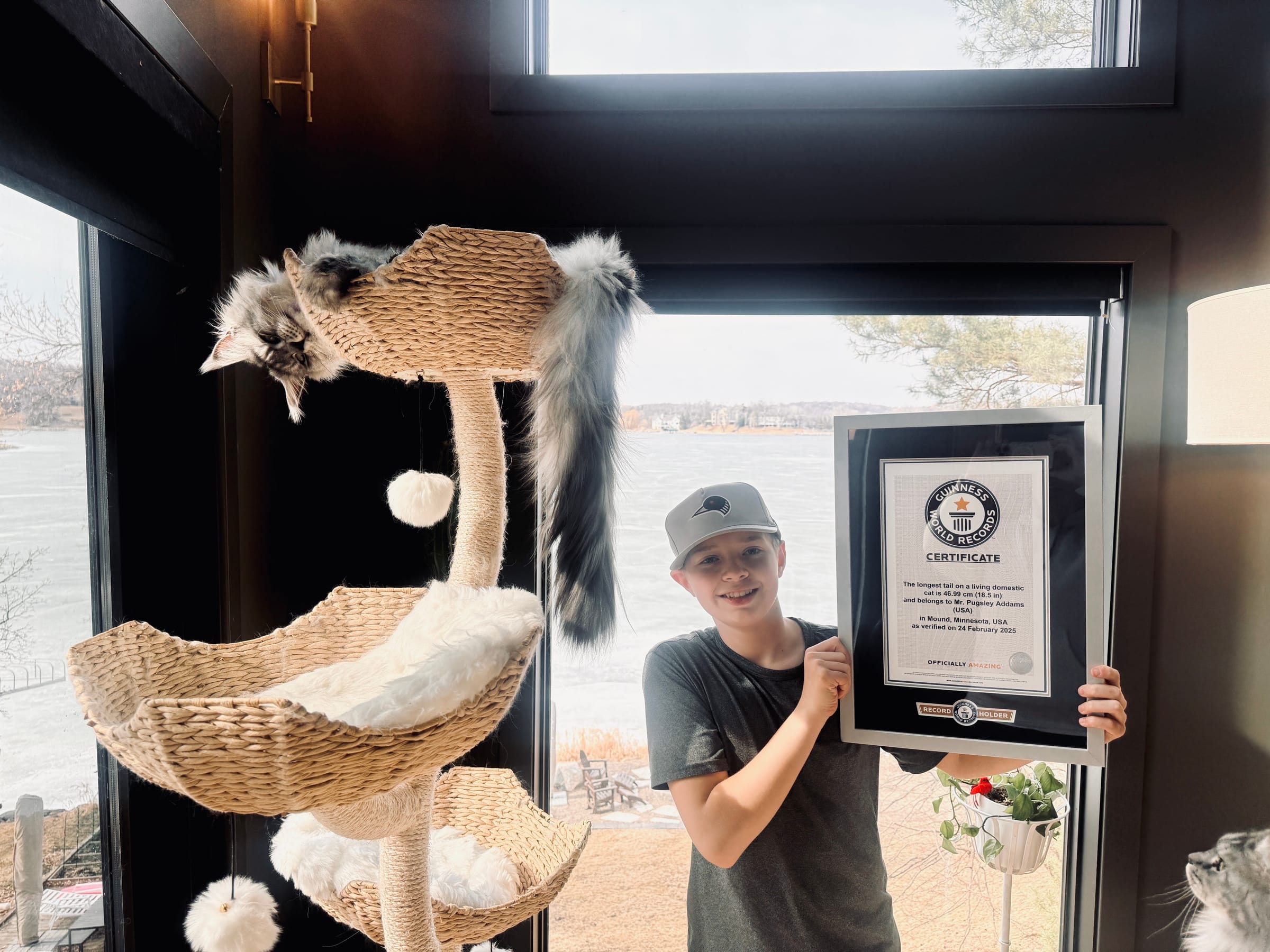 Meet the Cat with the Longest Tail!